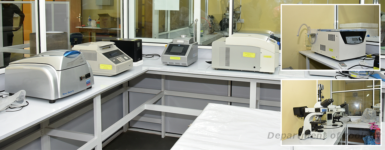 Molecular Biology Group – Department of Zoology